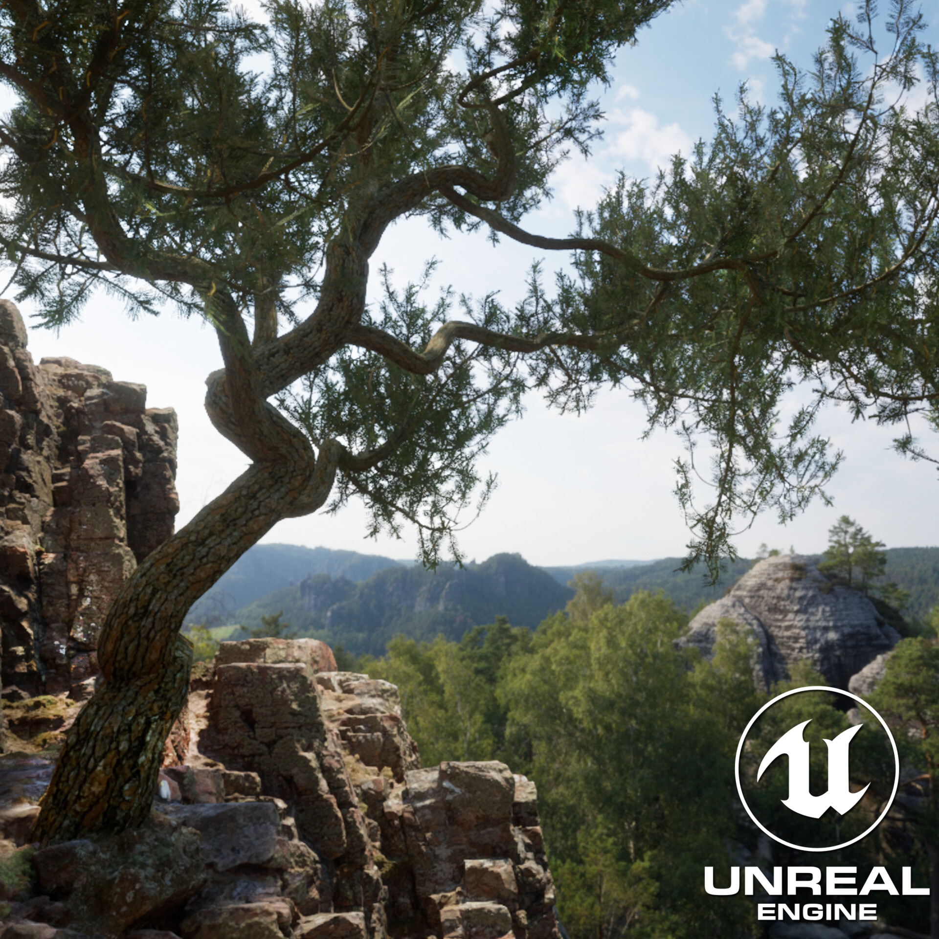 ArtStation - Houdini: Tree Study - Mountain Pine