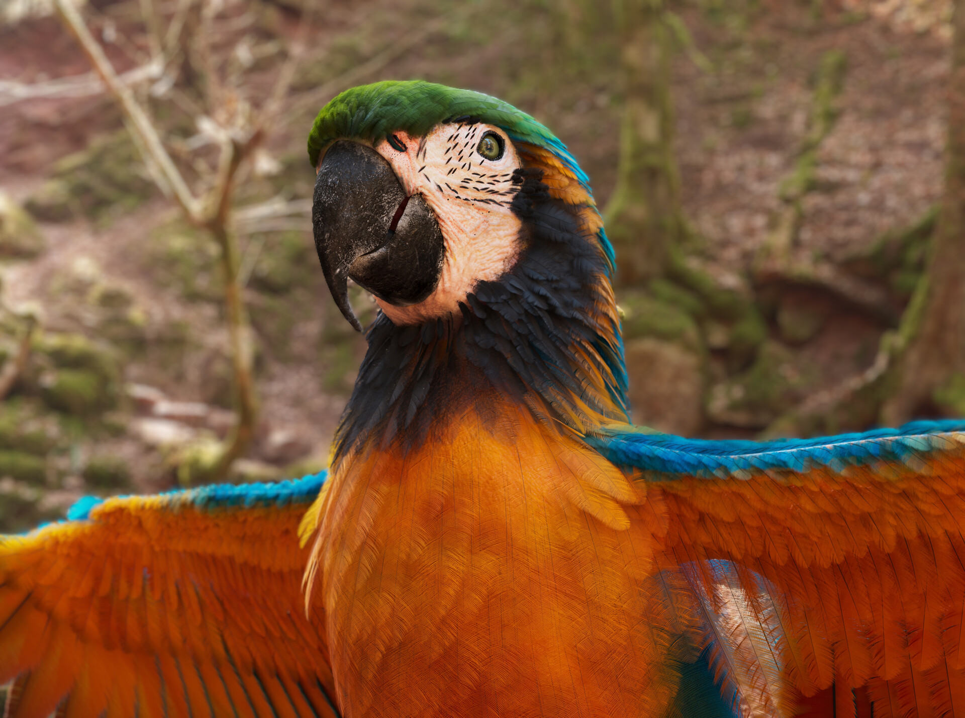 ArtStation - Blue-and-gold macaw houdini feather tool