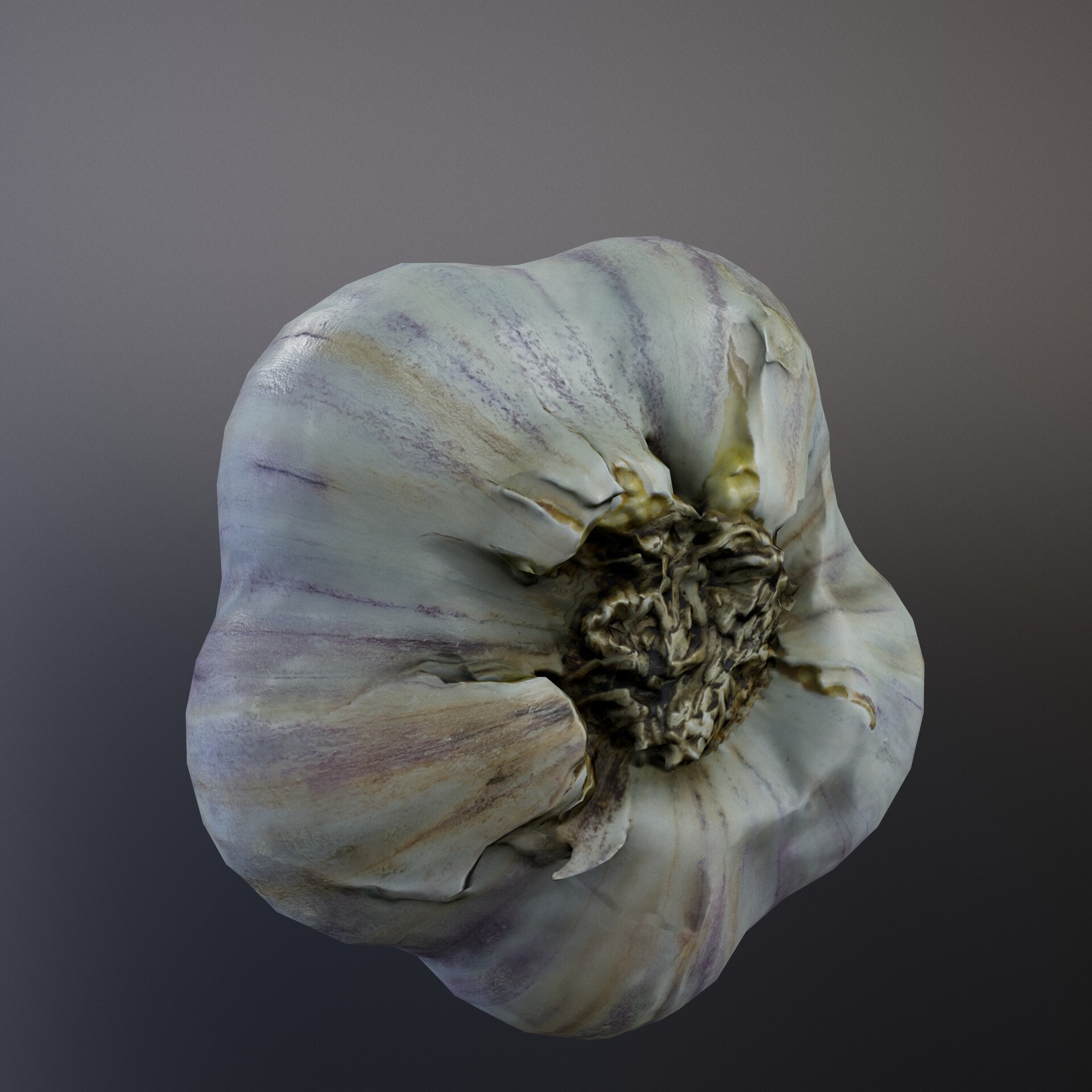 ArtStation - Macro photogrammetry | Garlic and Nut