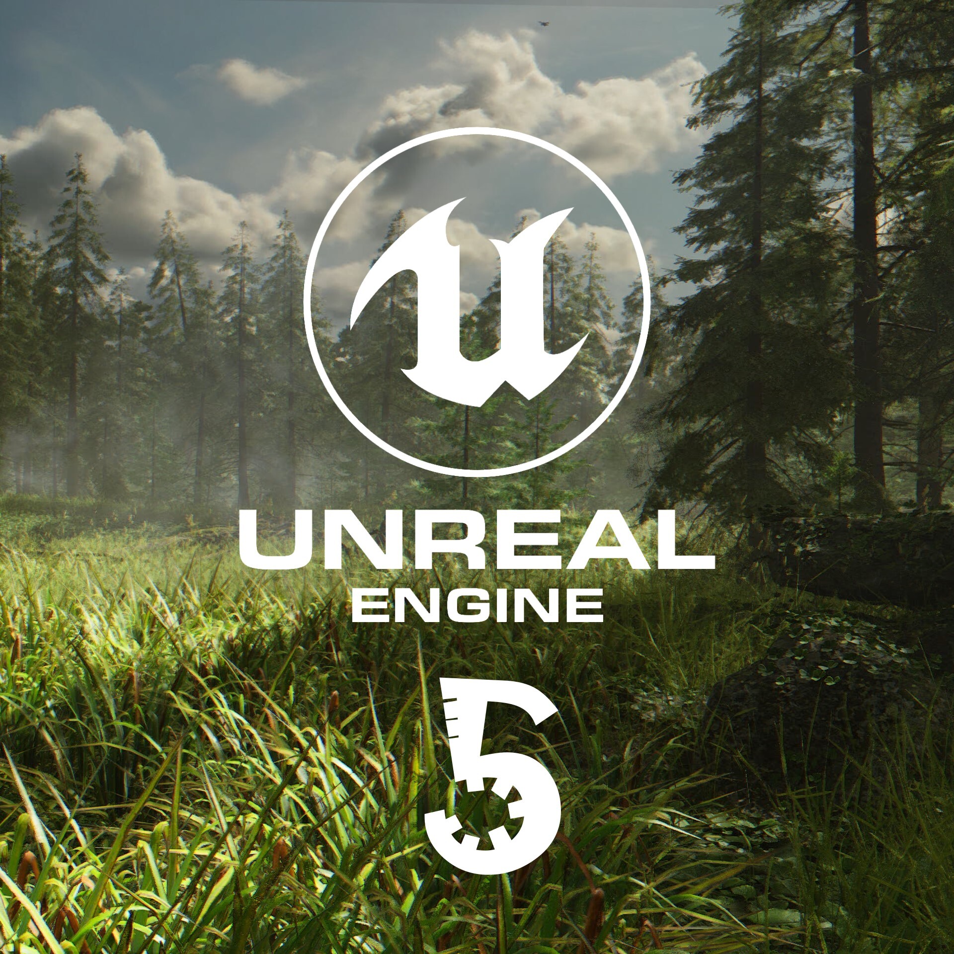 ArtStation - FOREST BIOME in UNREAL ENGINE 5 | Realistic Real-time ...