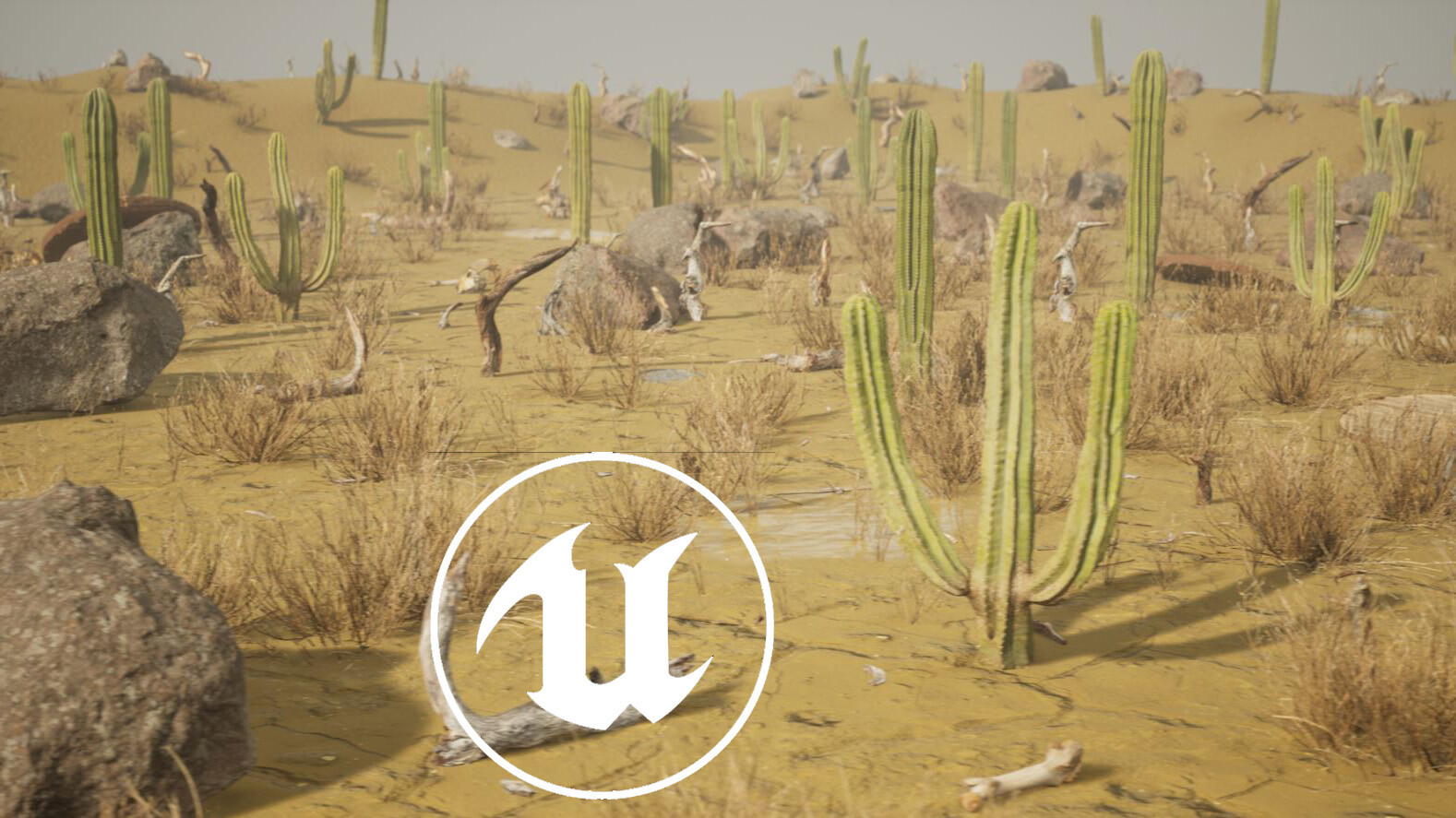 ArtStation - Desert scene