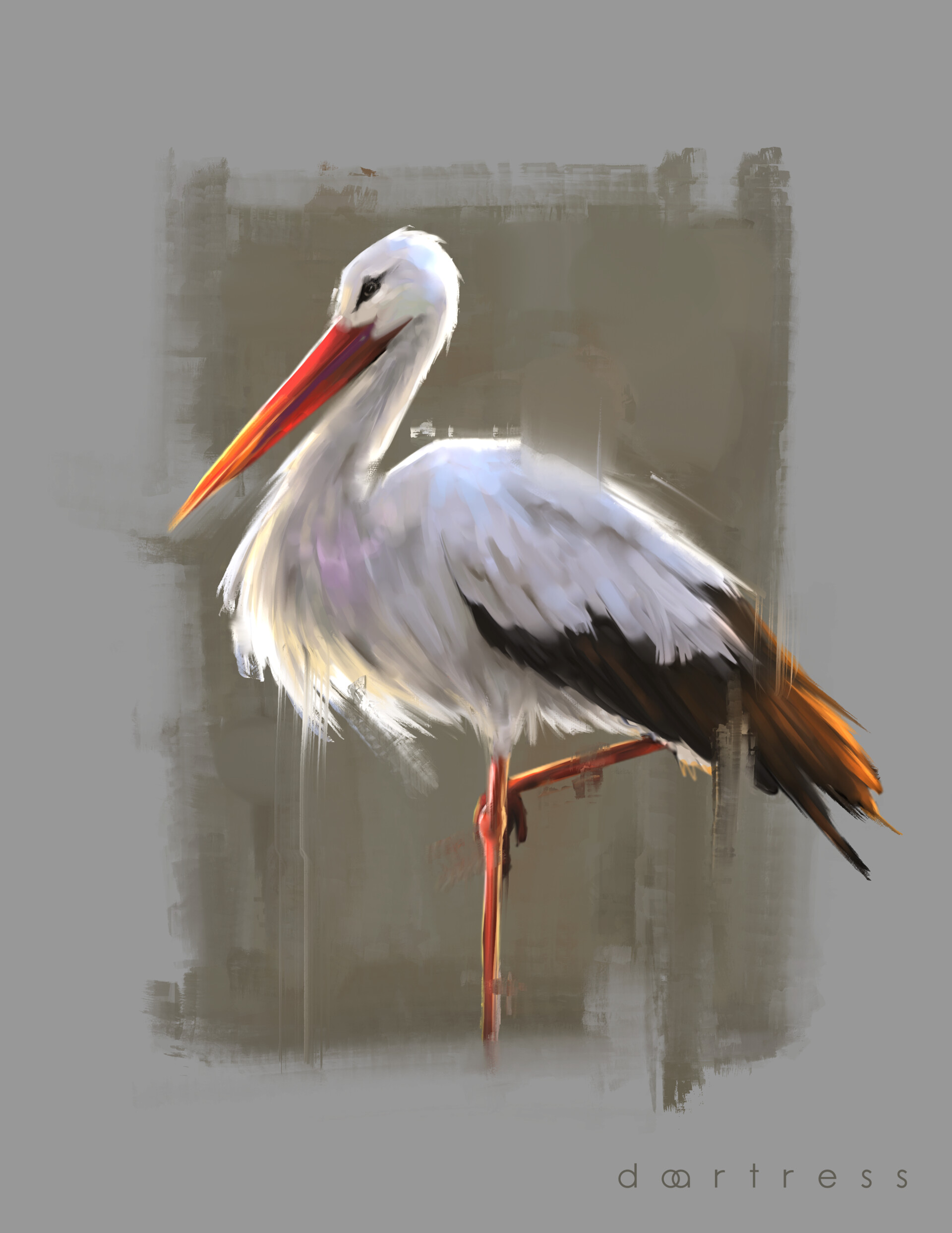 ArtStation - Stork Standing Still