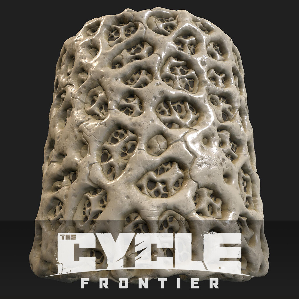 ArtStation - The Cycle Frontier - Materials Bones
