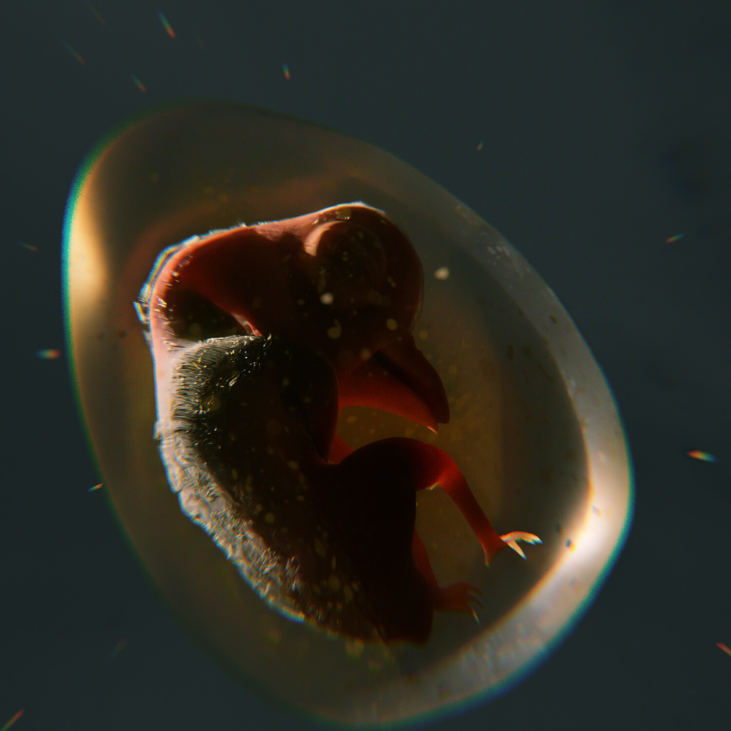 ArtStation - From an eggshell