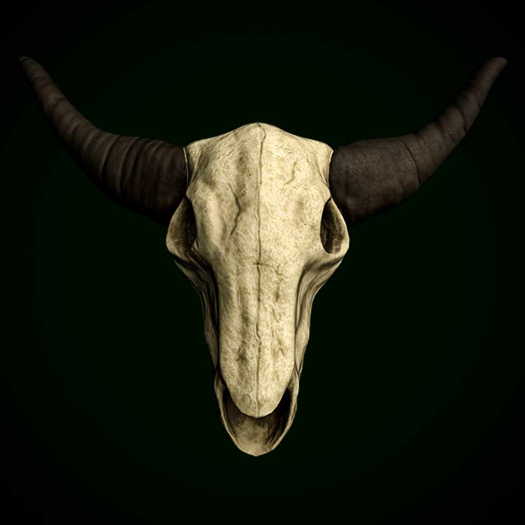 ArtStation - Bull Skull
