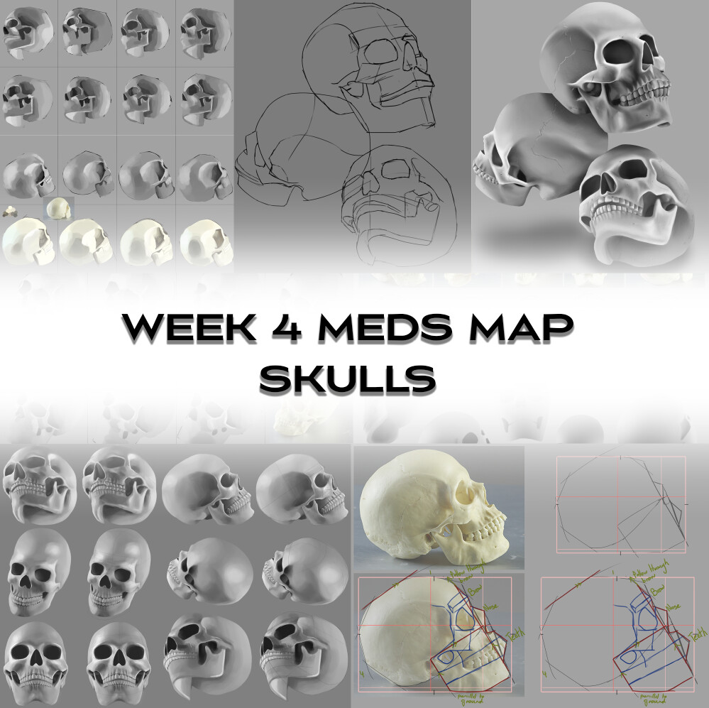 ArtStation - Week 4 MedsMap Dump