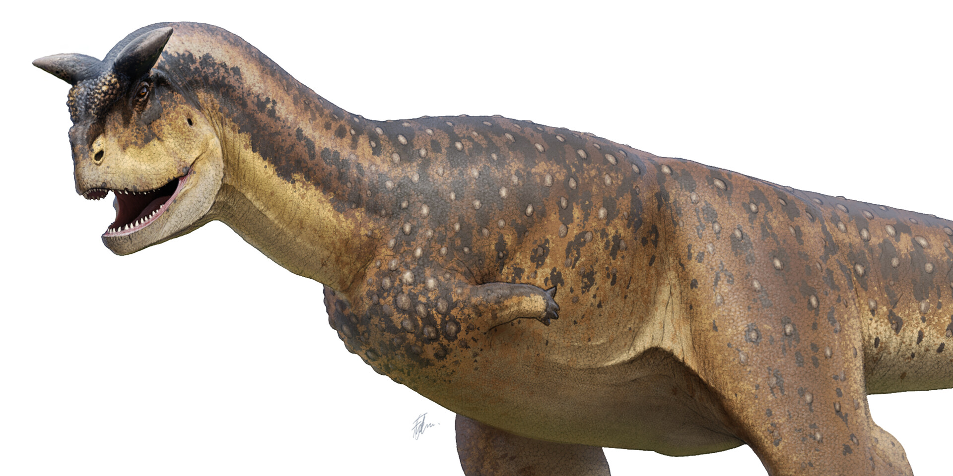 ArtStation - Carnotaurus sastrei: Wikipedia