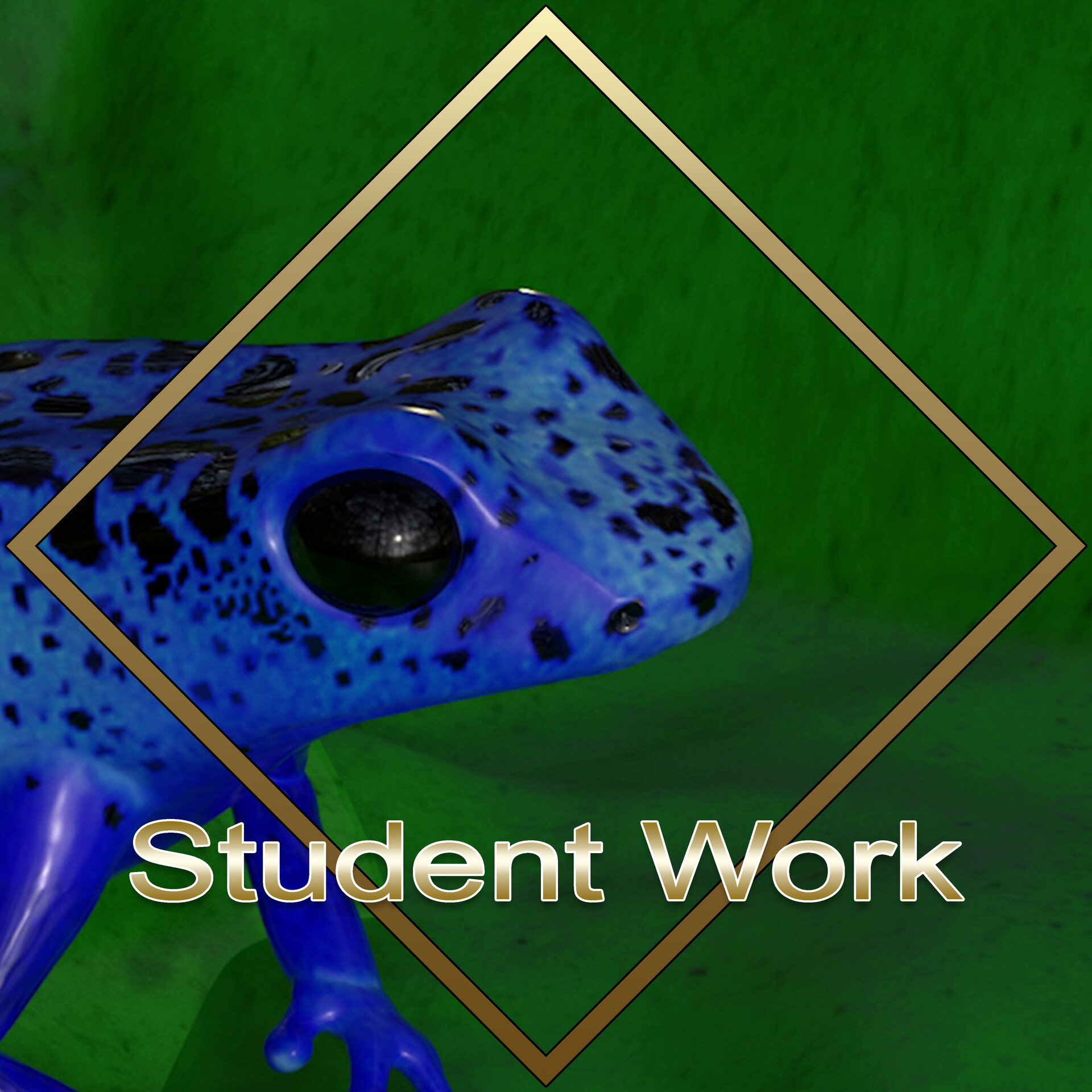 The DAVE School - Heather Mager