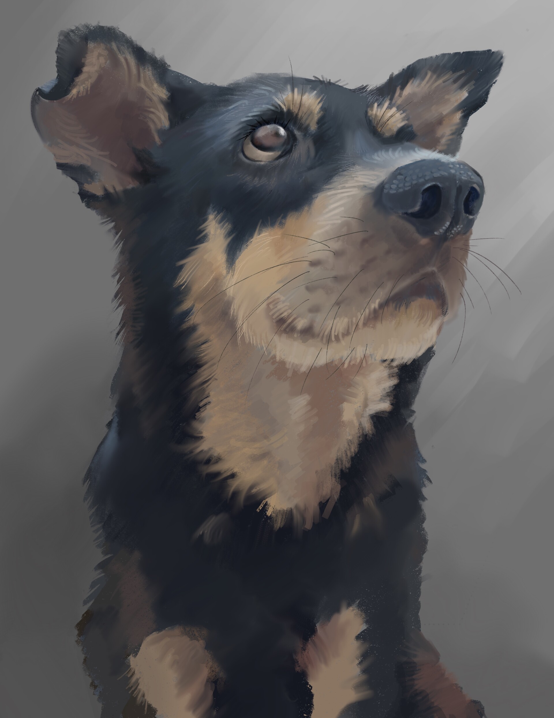 ArtStation - My dog