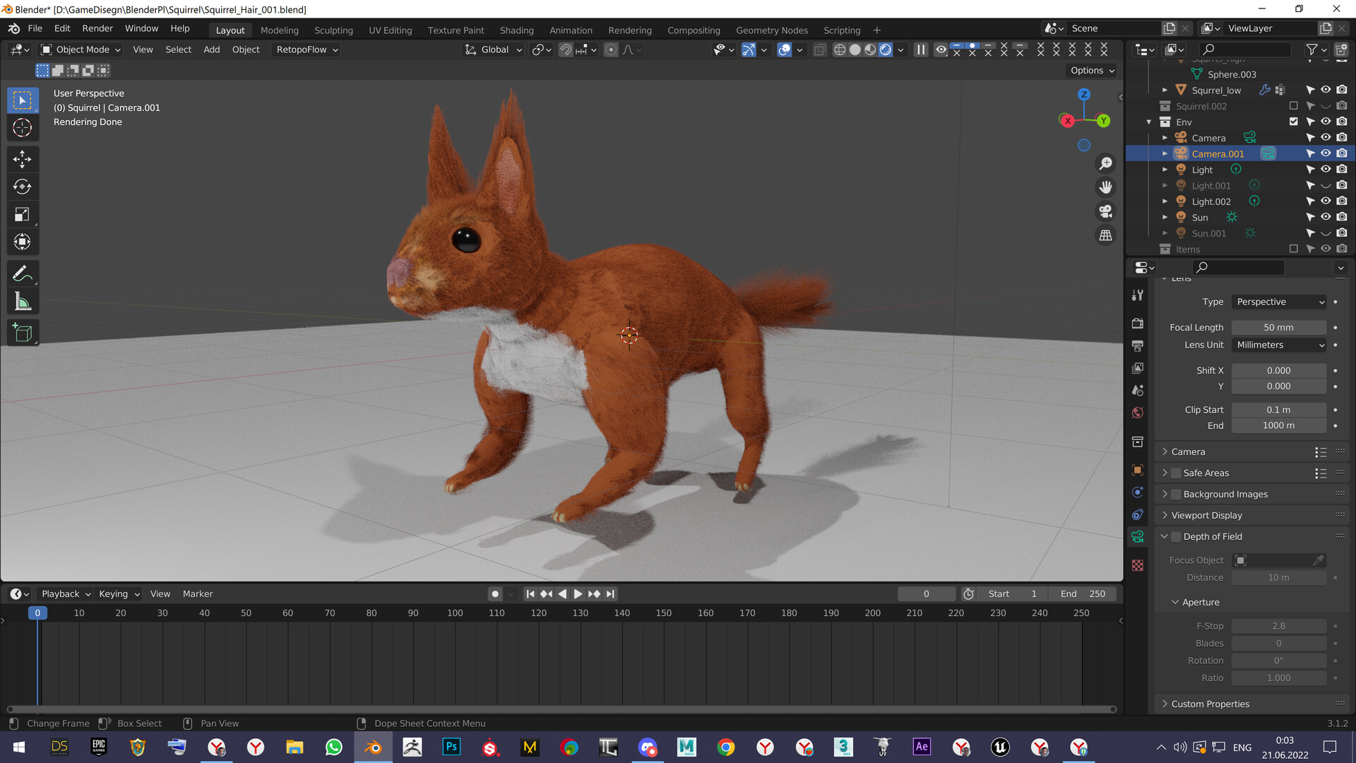 ArtStation - squirrel