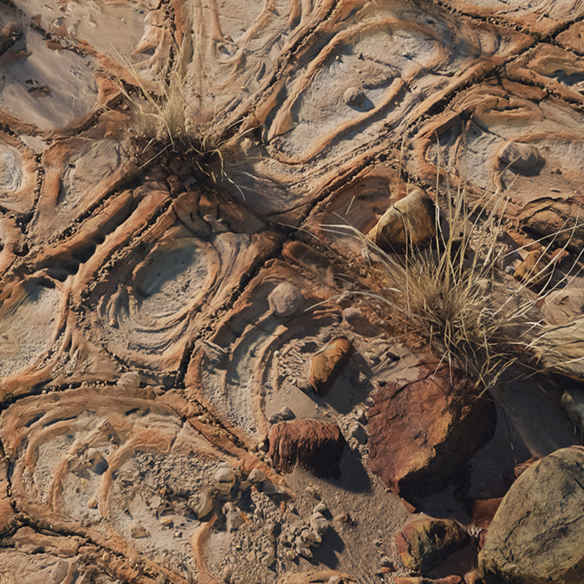 ArtStation - Rocky Surface Material - Substance Designer ZBrush