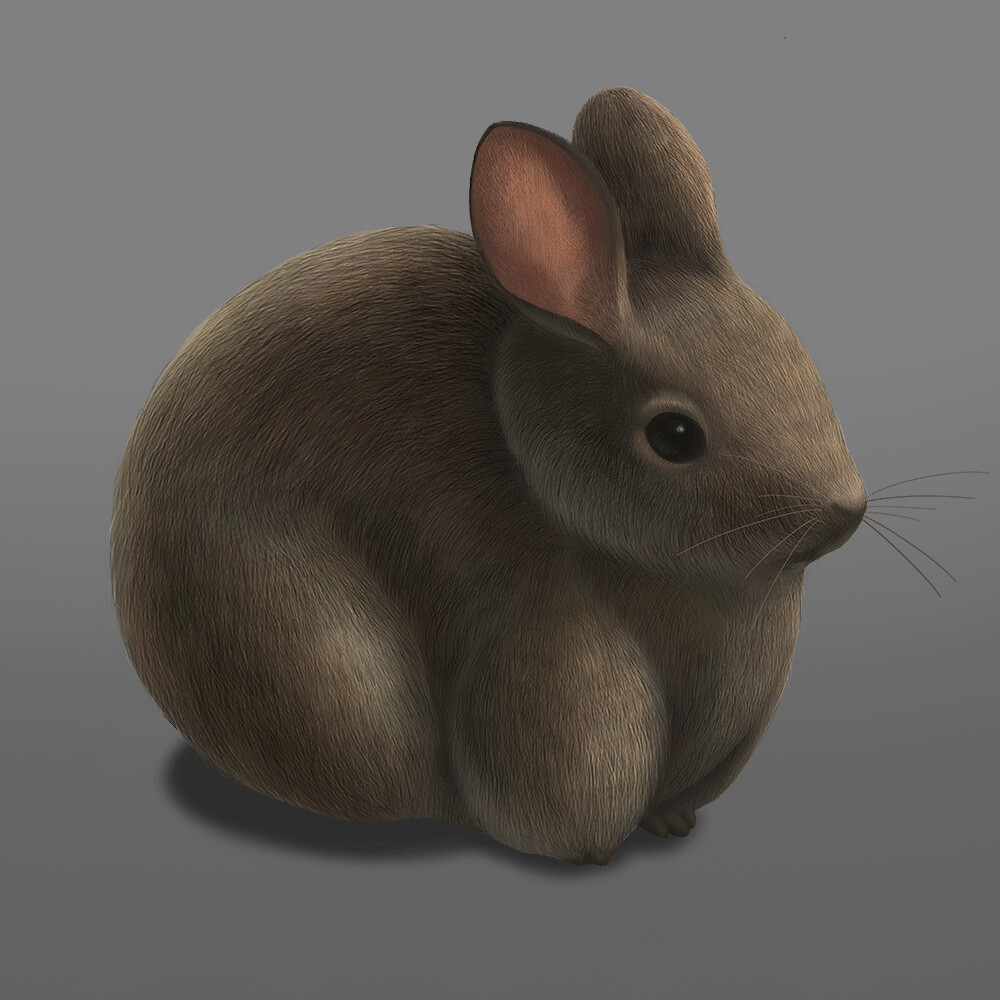 ArtStation - Editorial Illustrations (Animals) | Part 3