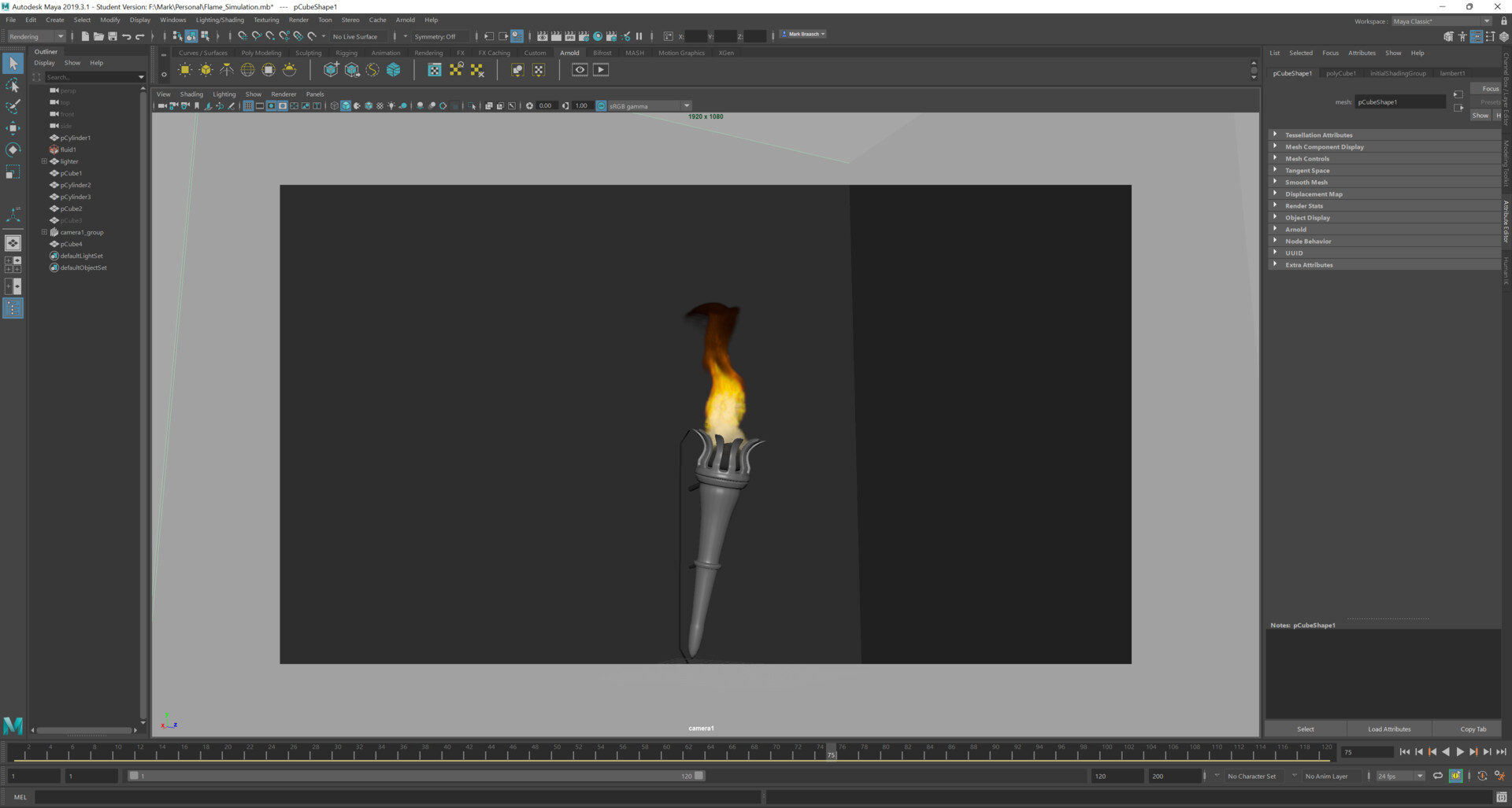 ArtStation - Maya FX - Torch