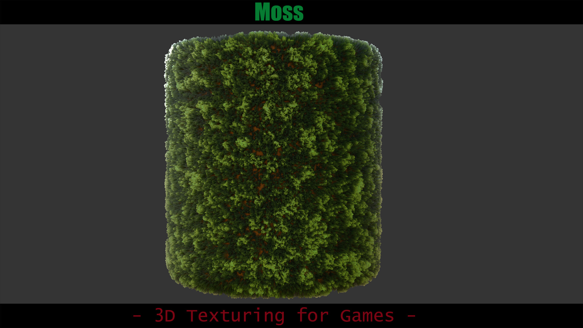 ArtStation - Moss - 3D Texturing for Games