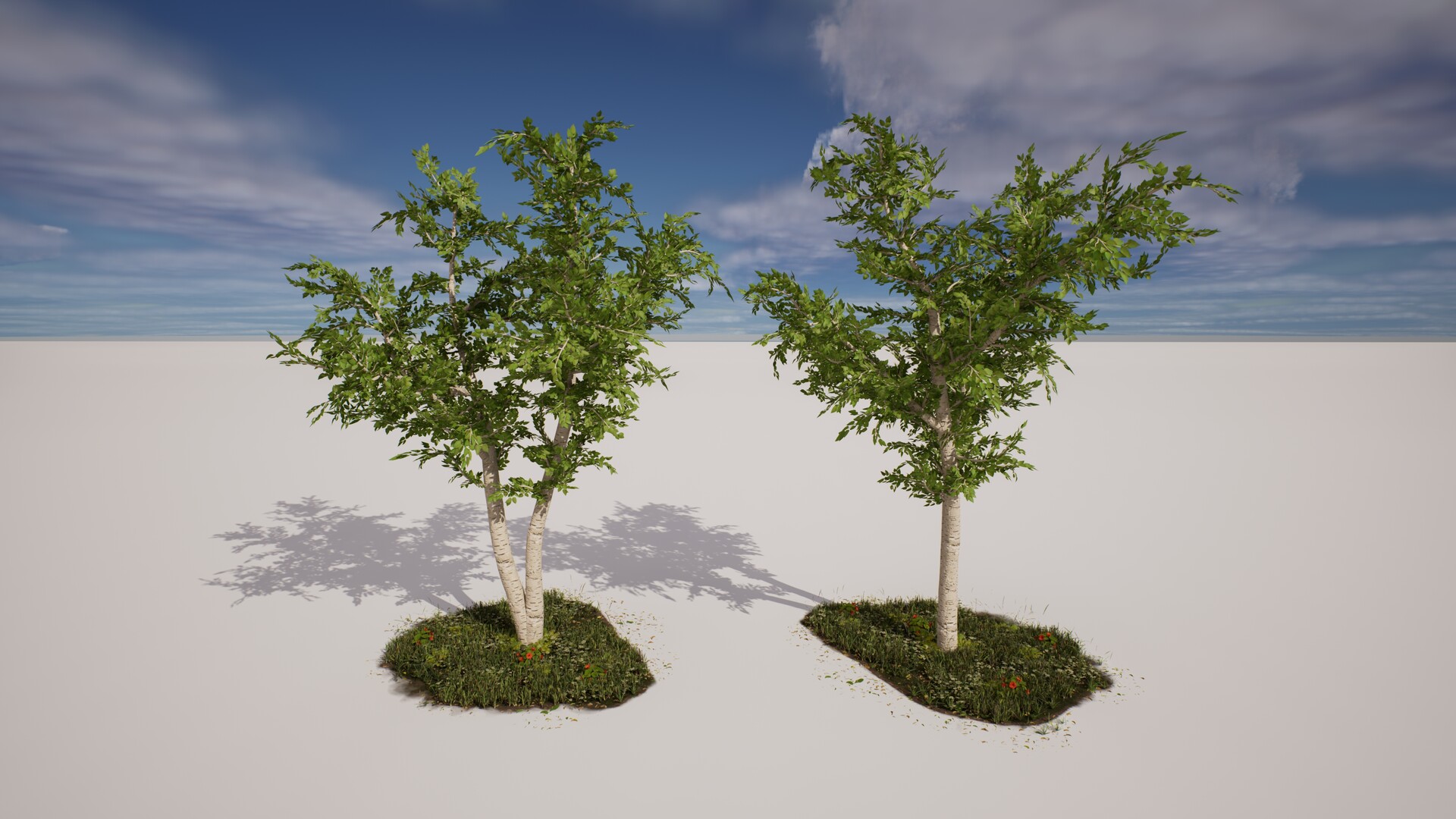 ArtStation - Birch Tree - WIP