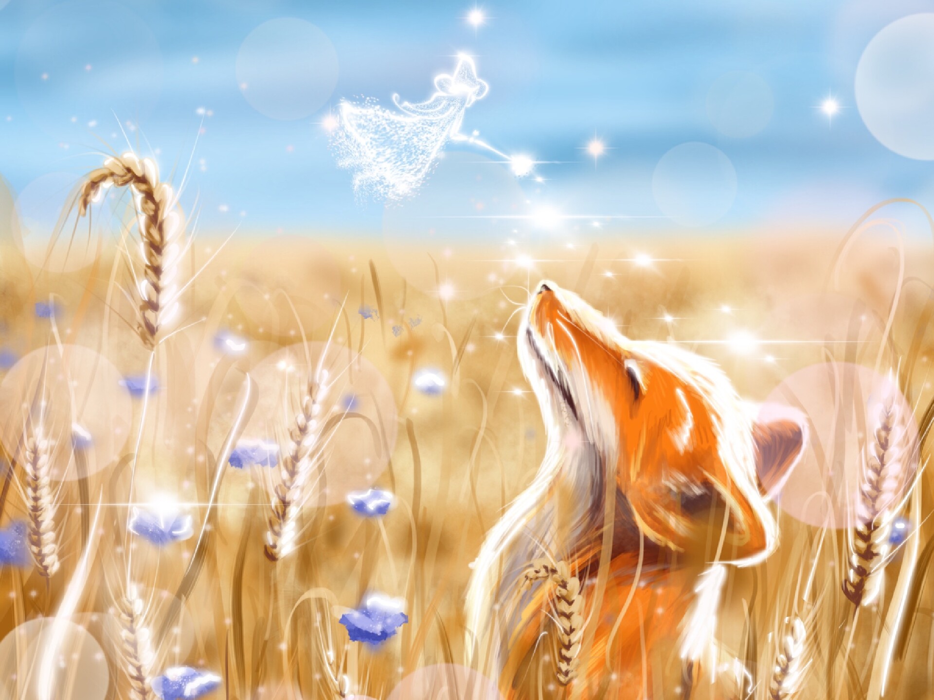 ArtStation - Fox in the field