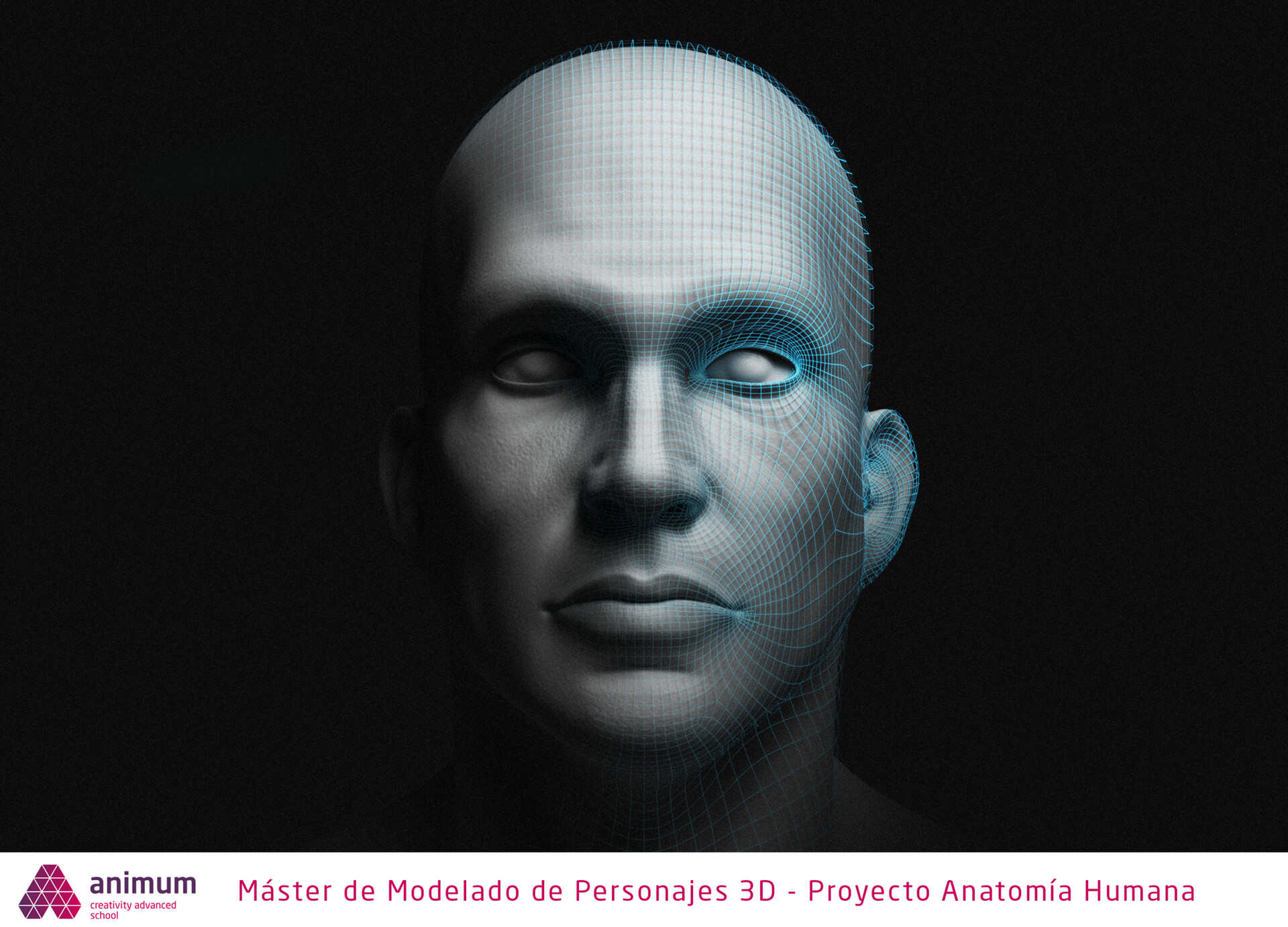 ArtStation - human anatomy - animum