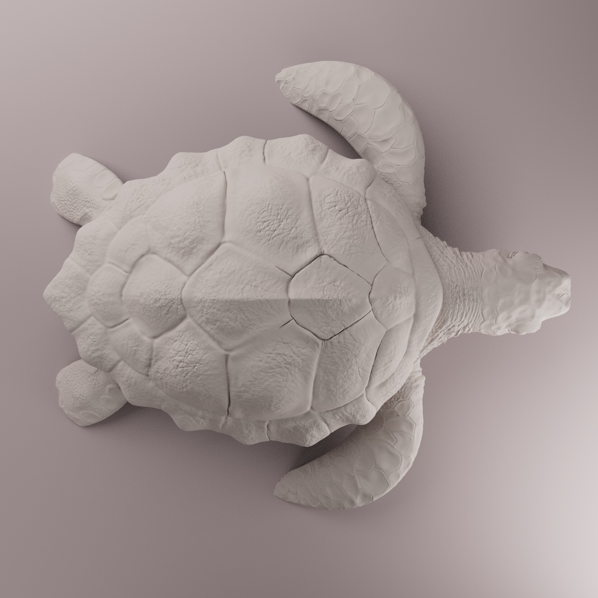 ArtStation - Sea turtle (clay renders)