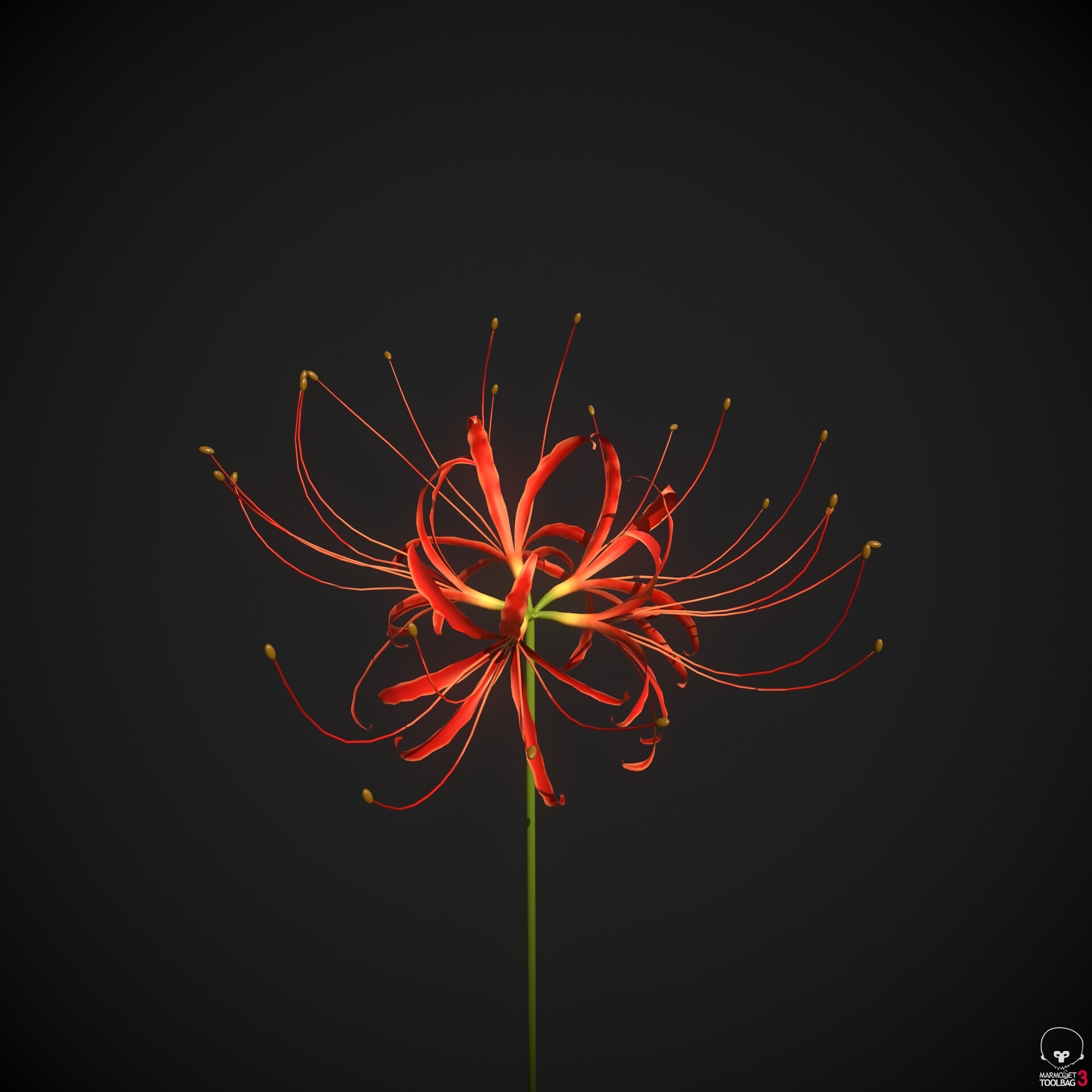 ArtStation - Lycoris