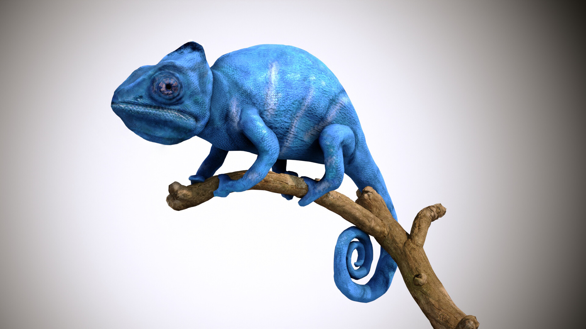 ArtStation - Blue chameleon