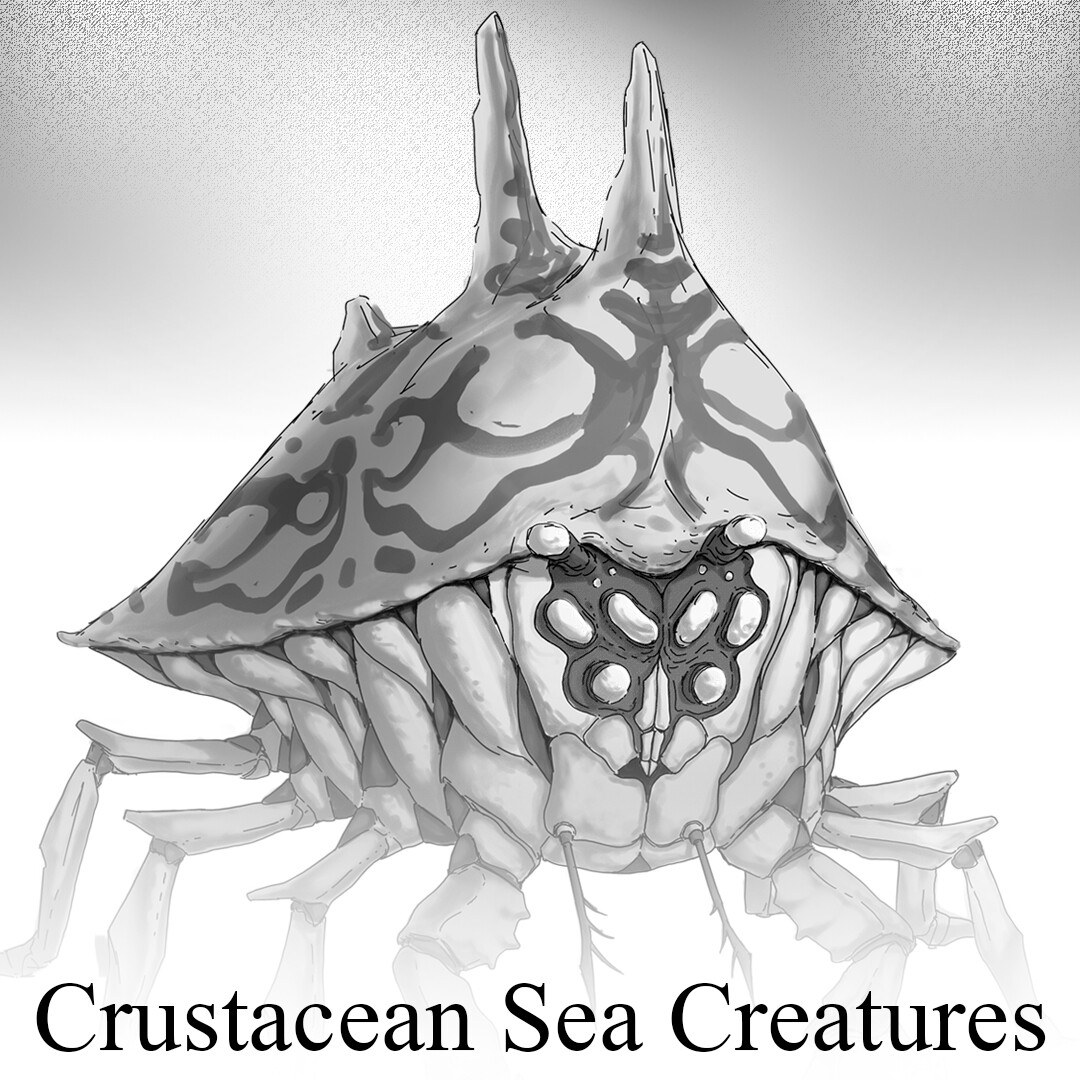 ArtStation - Crustacean Sea Creatures