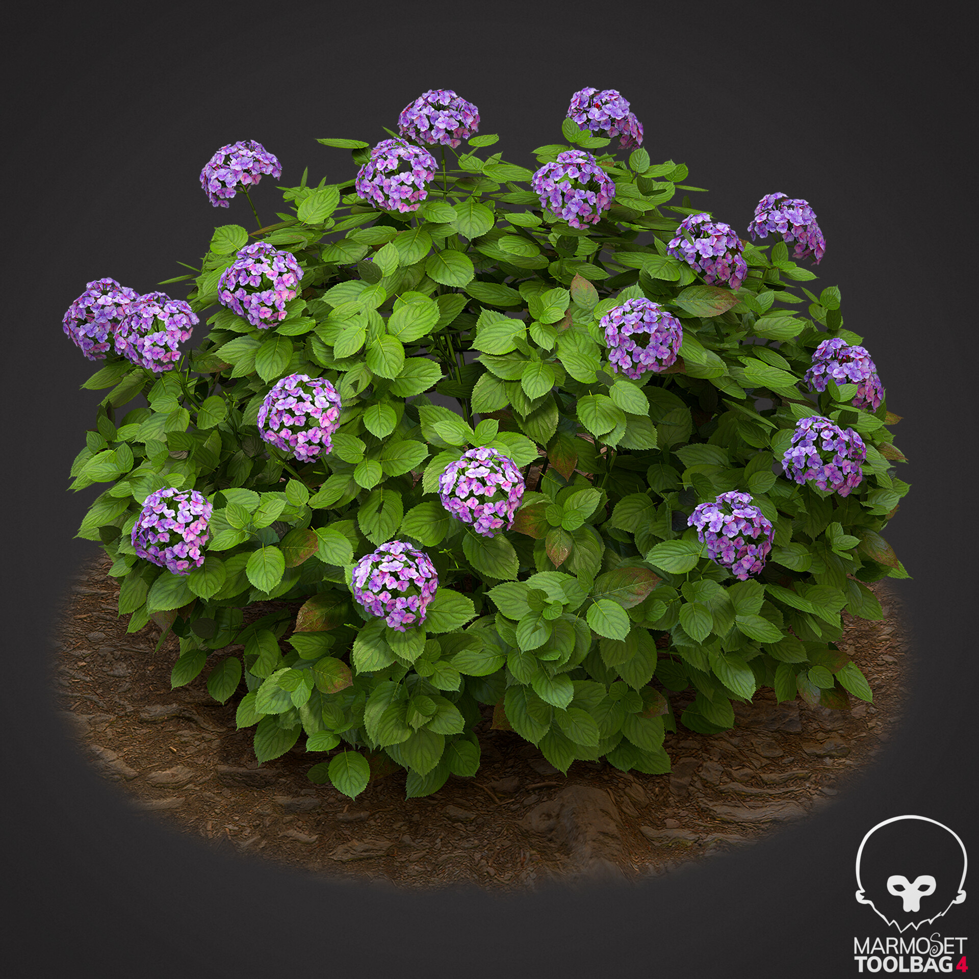ArtStation - Hydrangea bush game-ready.