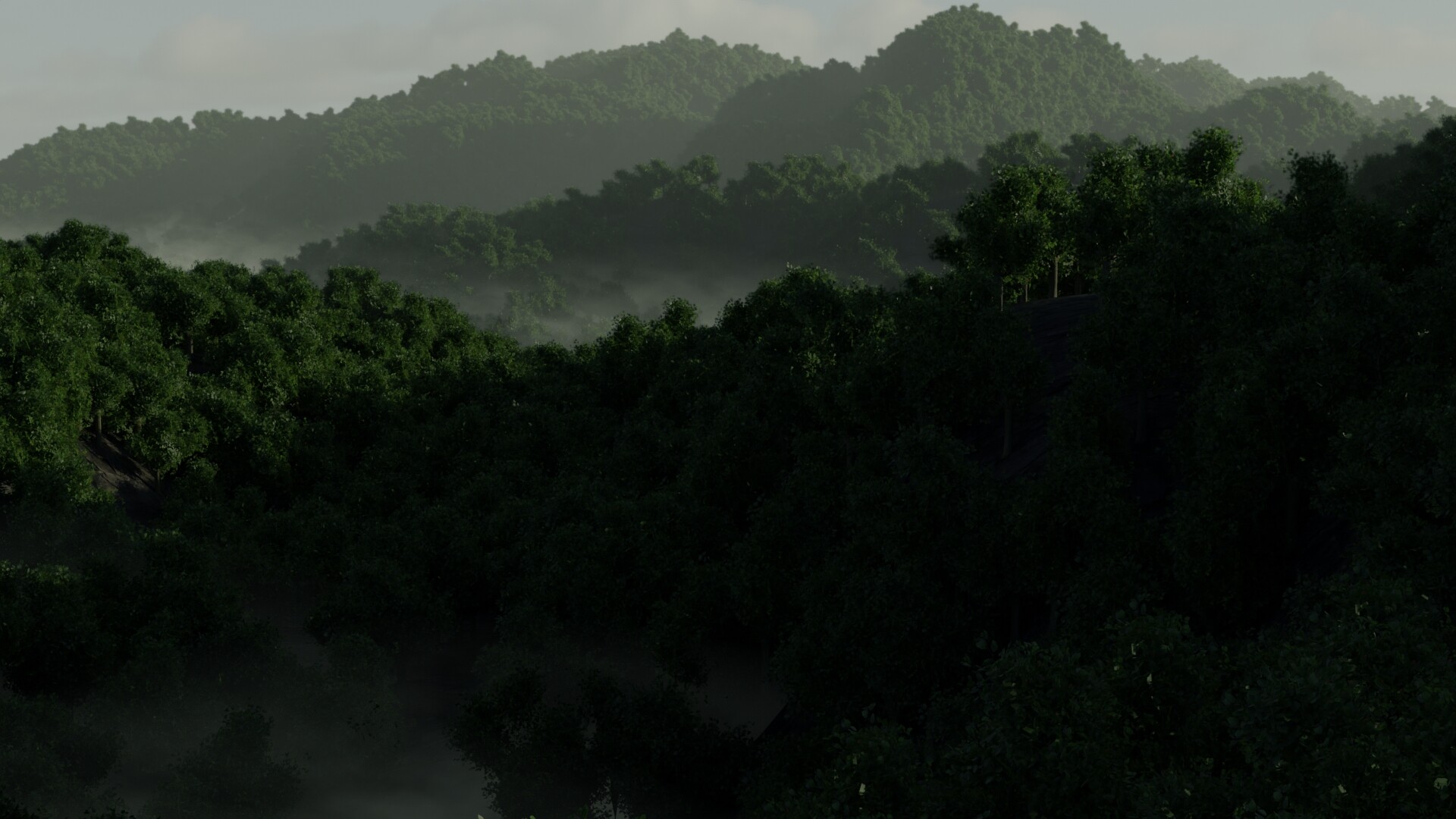 ArtStation - Forest Light/Shading/Compositing Blender