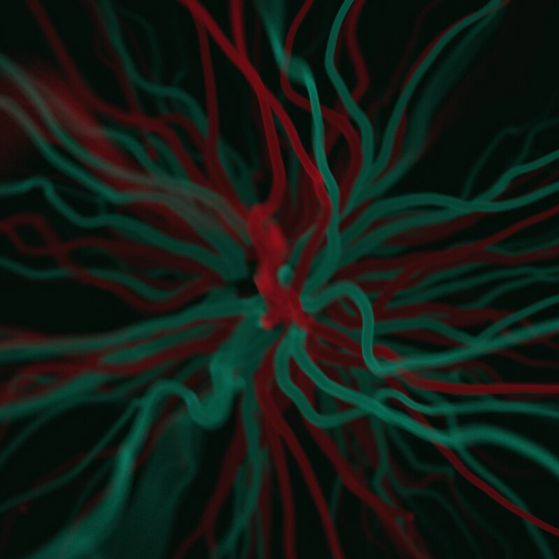 ArtStation - alienvirus