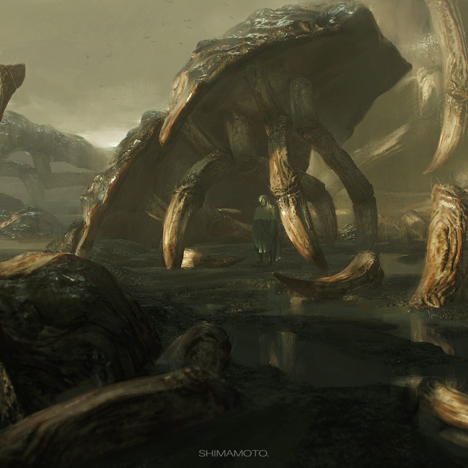 ArtStation - Shells / 01