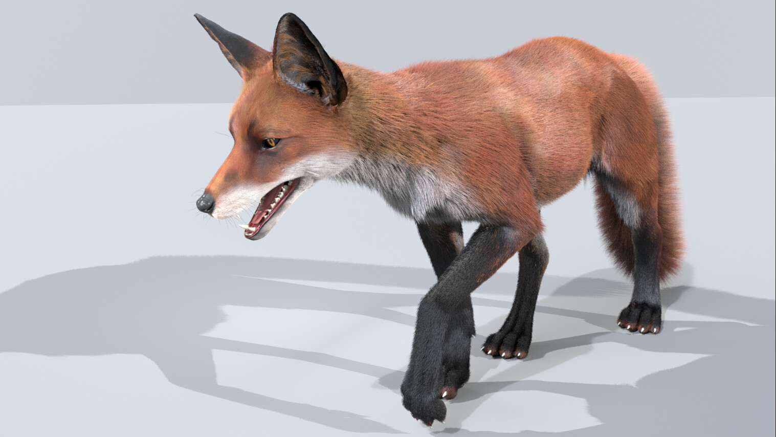 ArtStation - 'FOX_Groom_project'