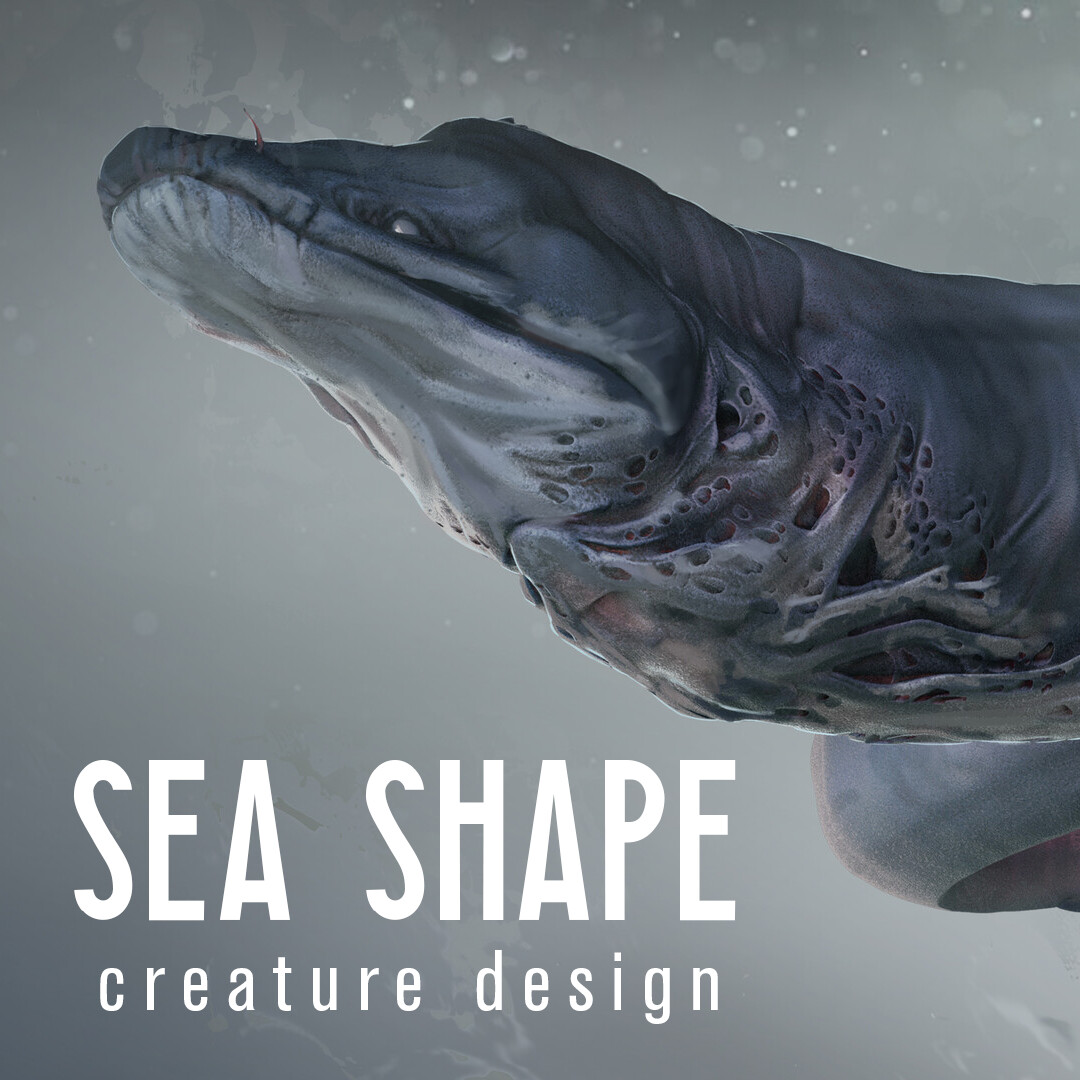 ArtStation - Sea shape
