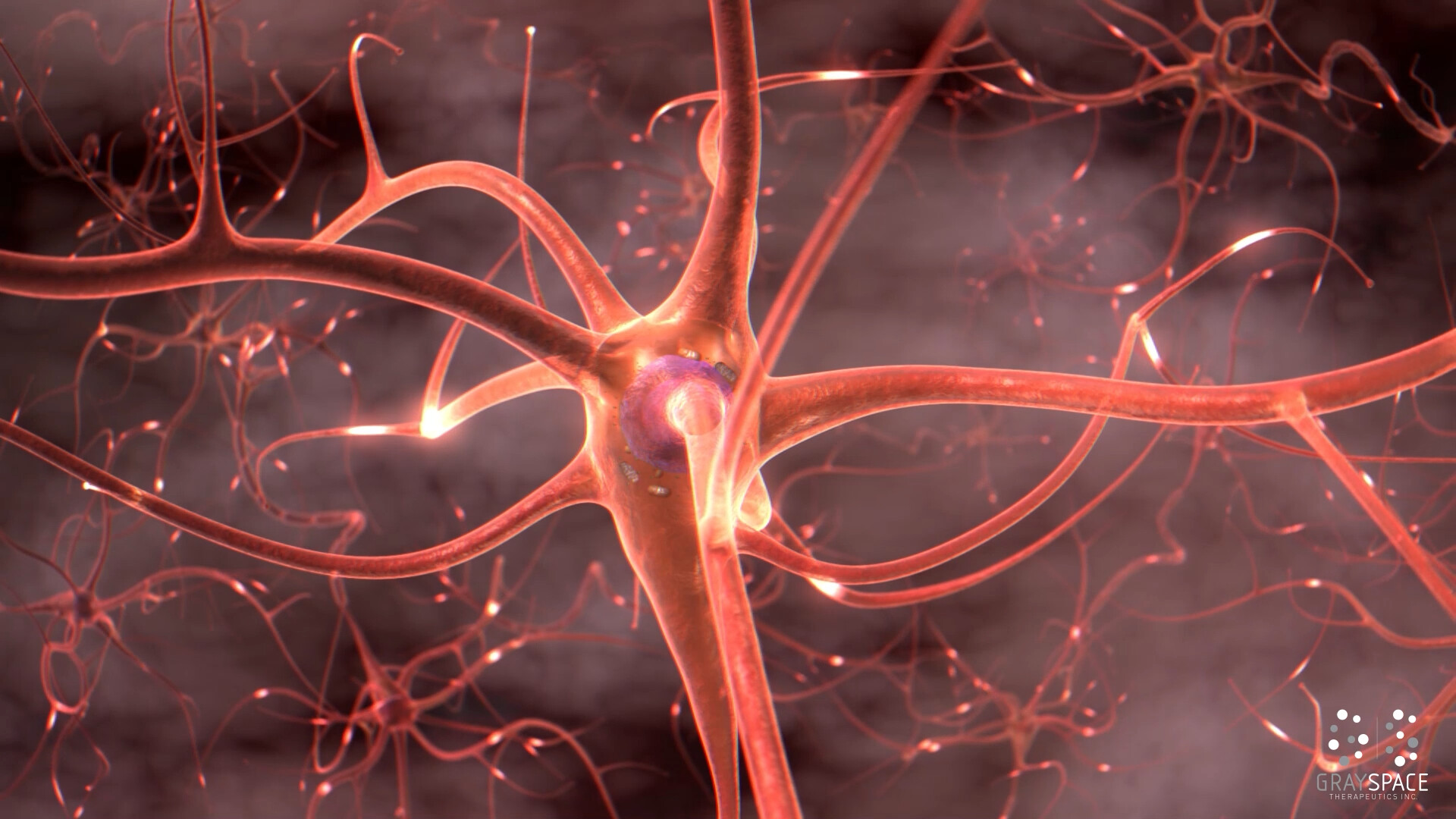 ArtStation - Medical Animation - Stills I