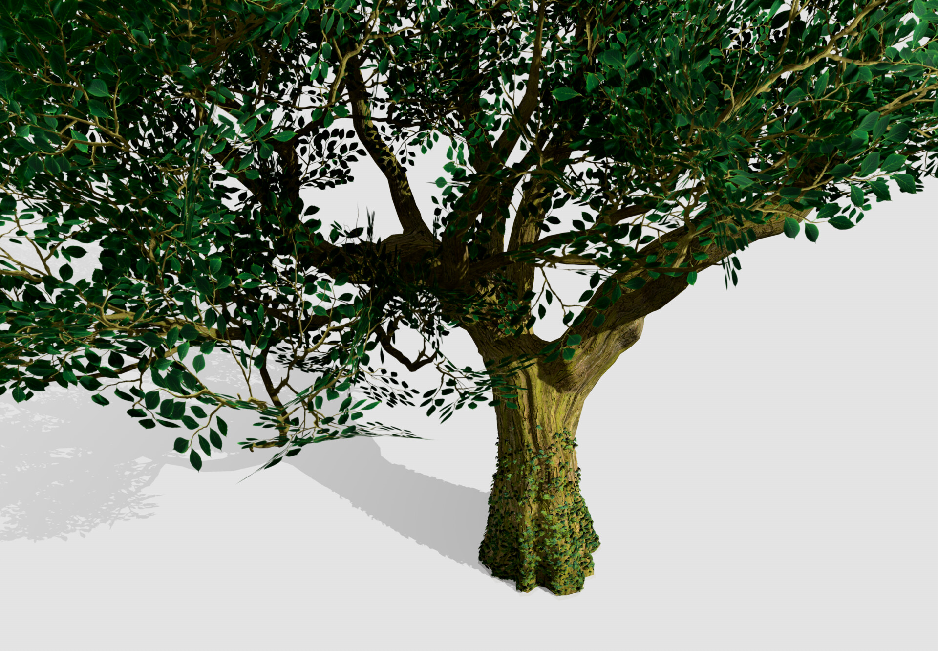 ArtStation - Speedtree practice