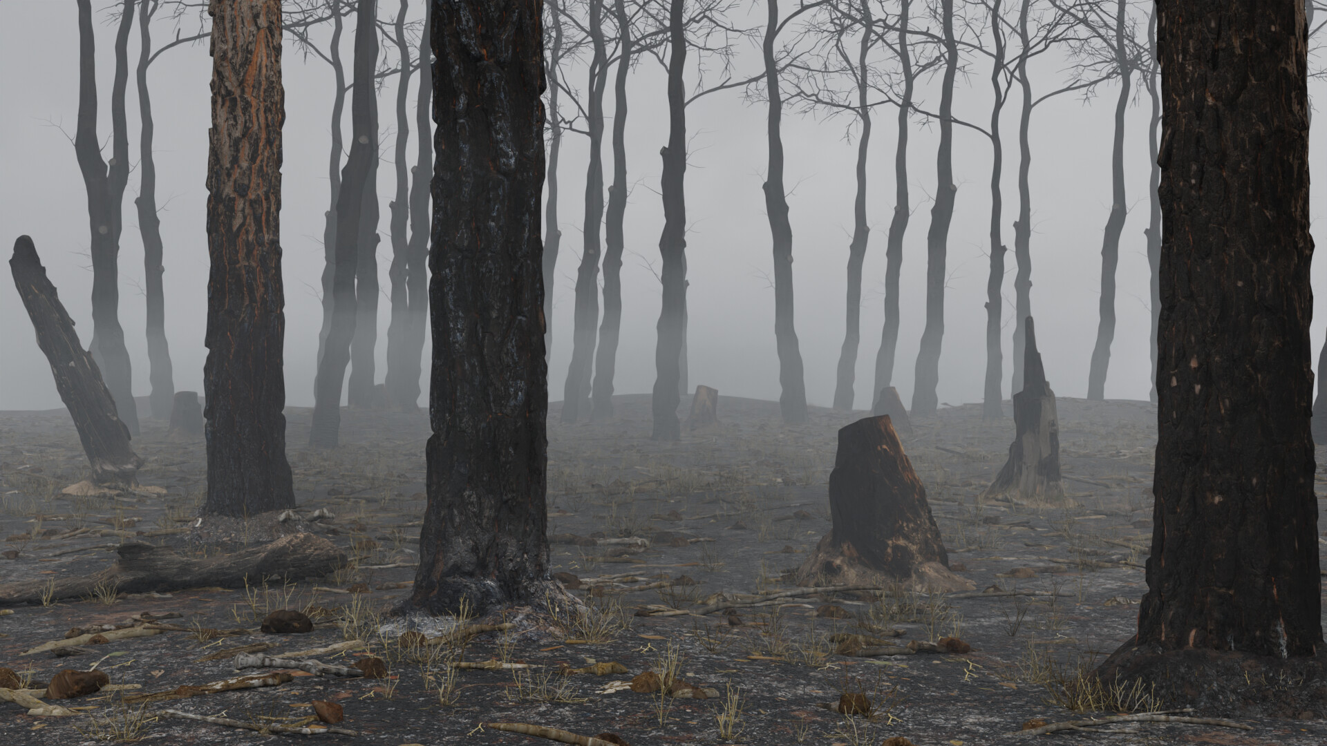 ArtStation - Burnt forest