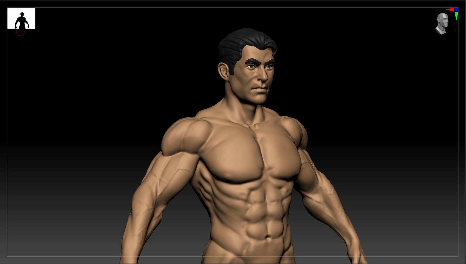 ArtStation - Stylized Super Human Anatomy Study