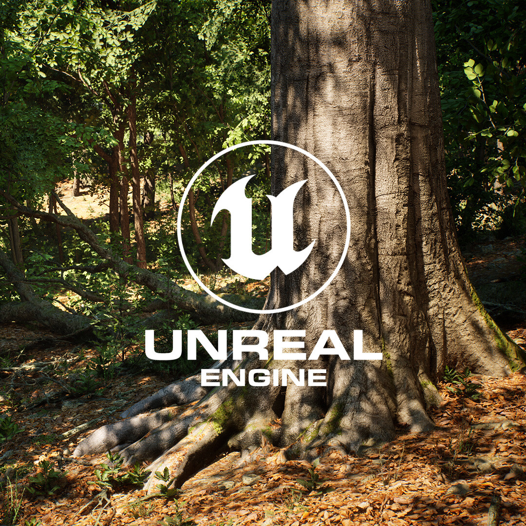 ArtStation - UE5 Broadleaf Forest V4 Runtime Demo
