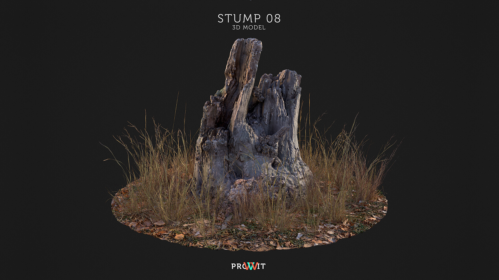 ArtStation - Stump 08 3D model