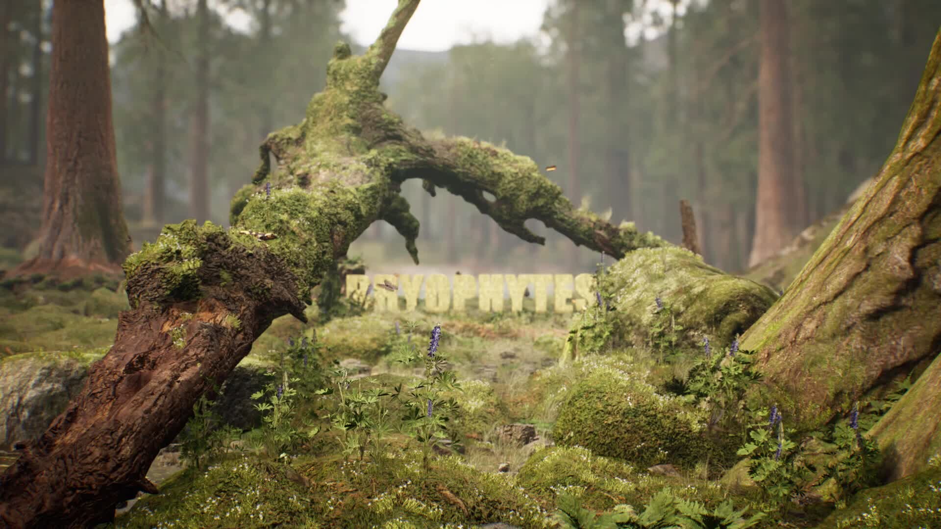 ArtStation - Title Cards