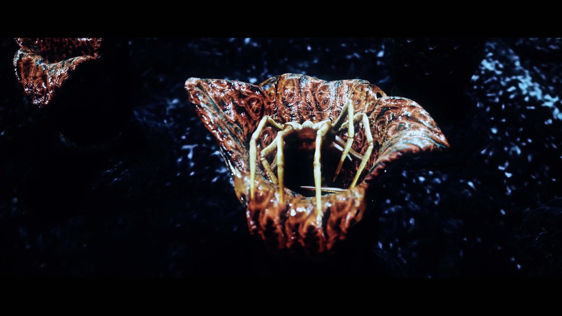 ArtStation - Alien - facehugger clip