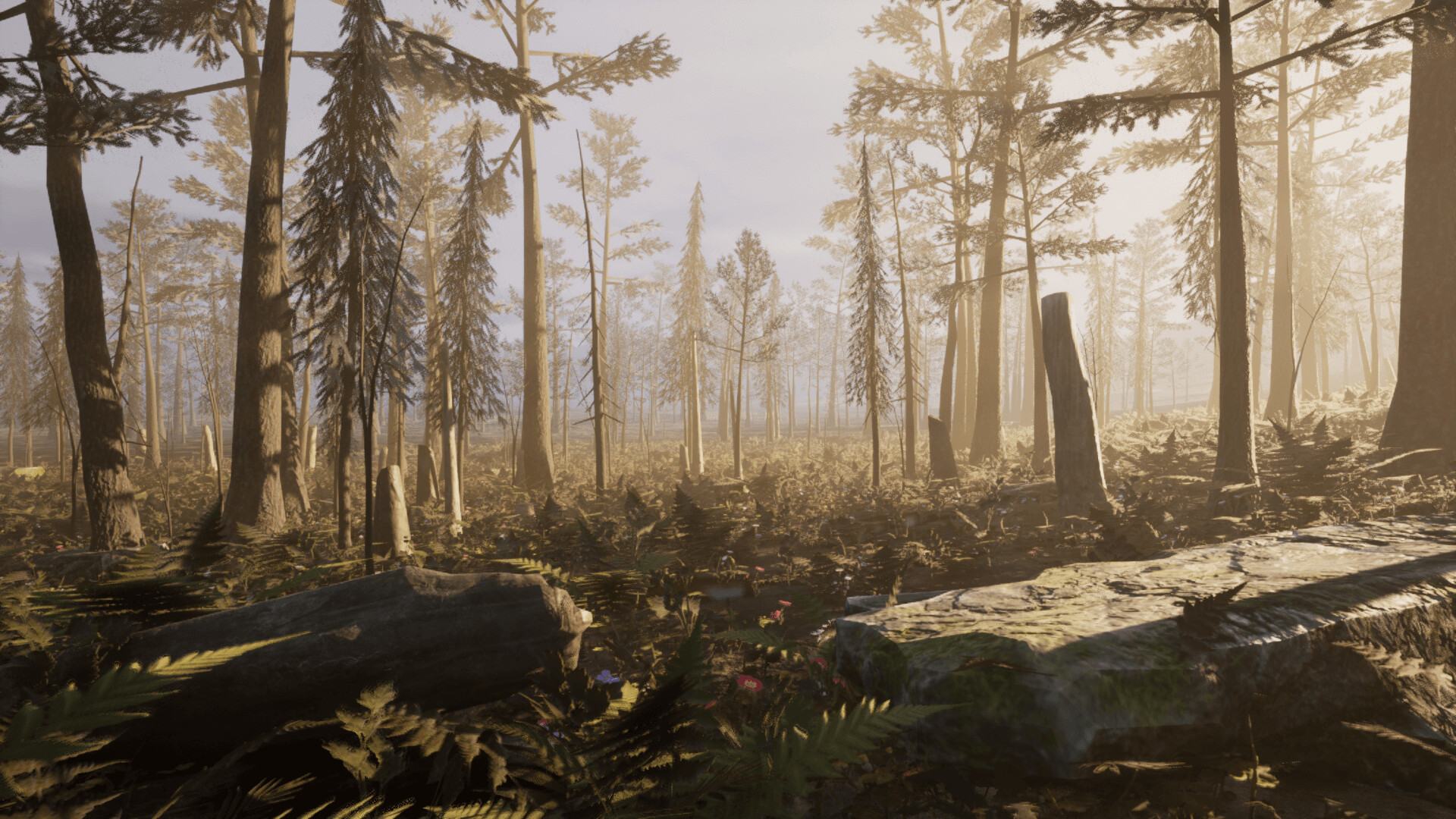 ArtStation - Procedural Forest Landscape