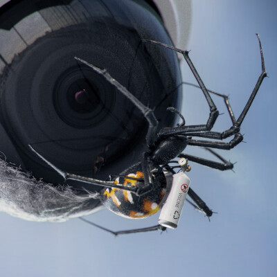 ArtStation - The cyber spider