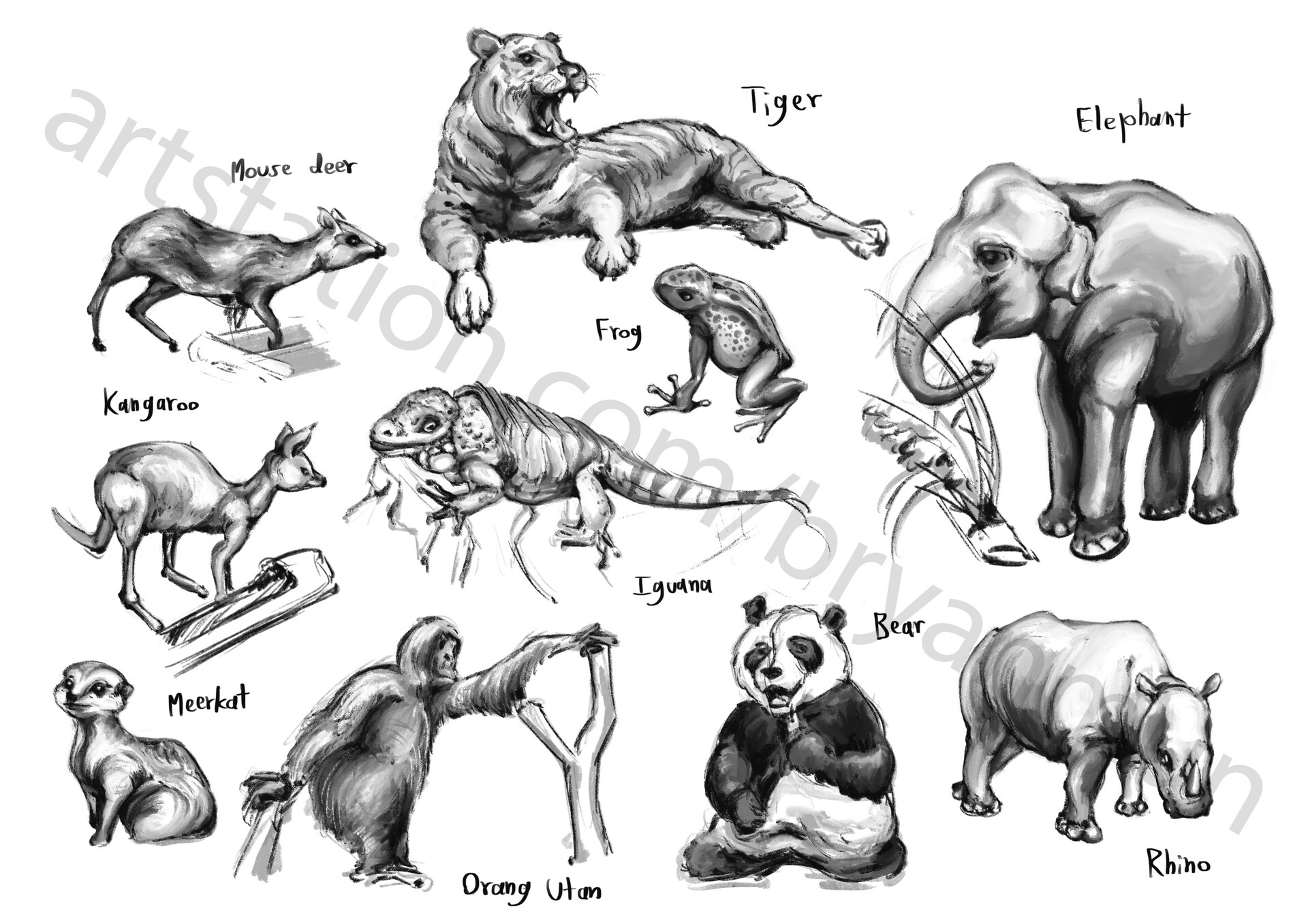 ArtStation - Zoo Trip Animal Sketches