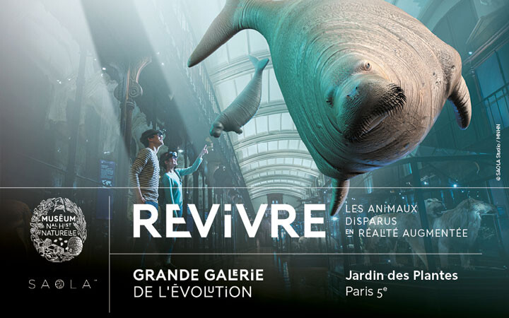 ArtStation - Revivre - Animation 3D