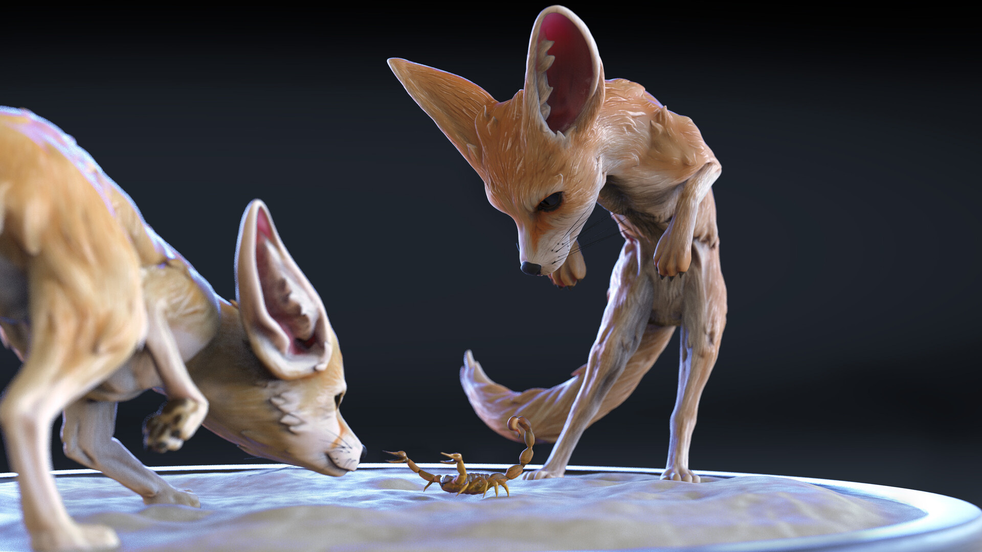 ArtStation - Fennec Foxes