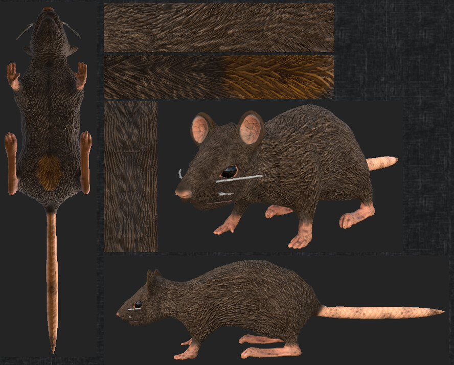 ArtStation - Ward 13 Asylum Rat