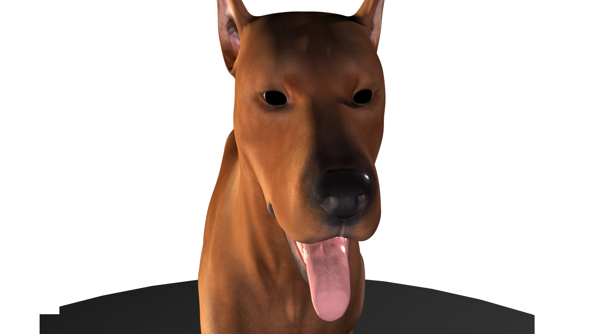 ArtStation - quadruped animation