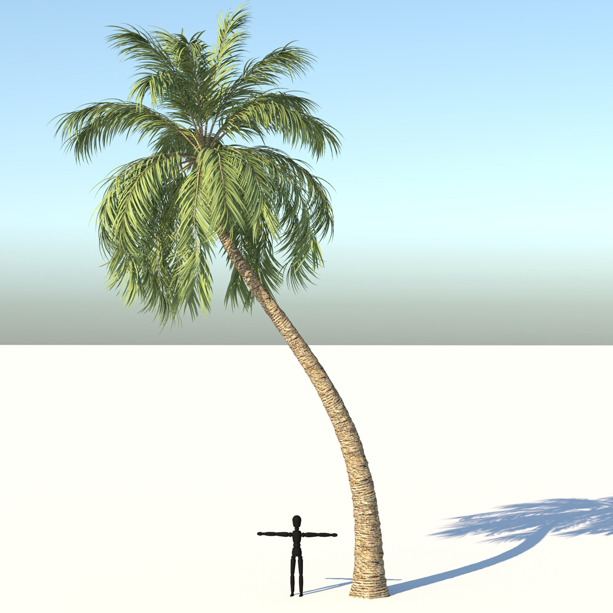 ArtStation - Coconut Palm Tree 3D Model