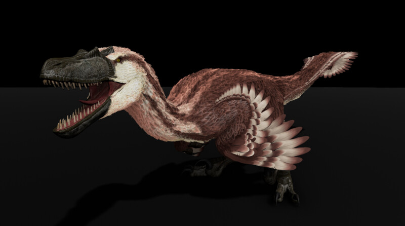 Samuel Carter - Portfolio