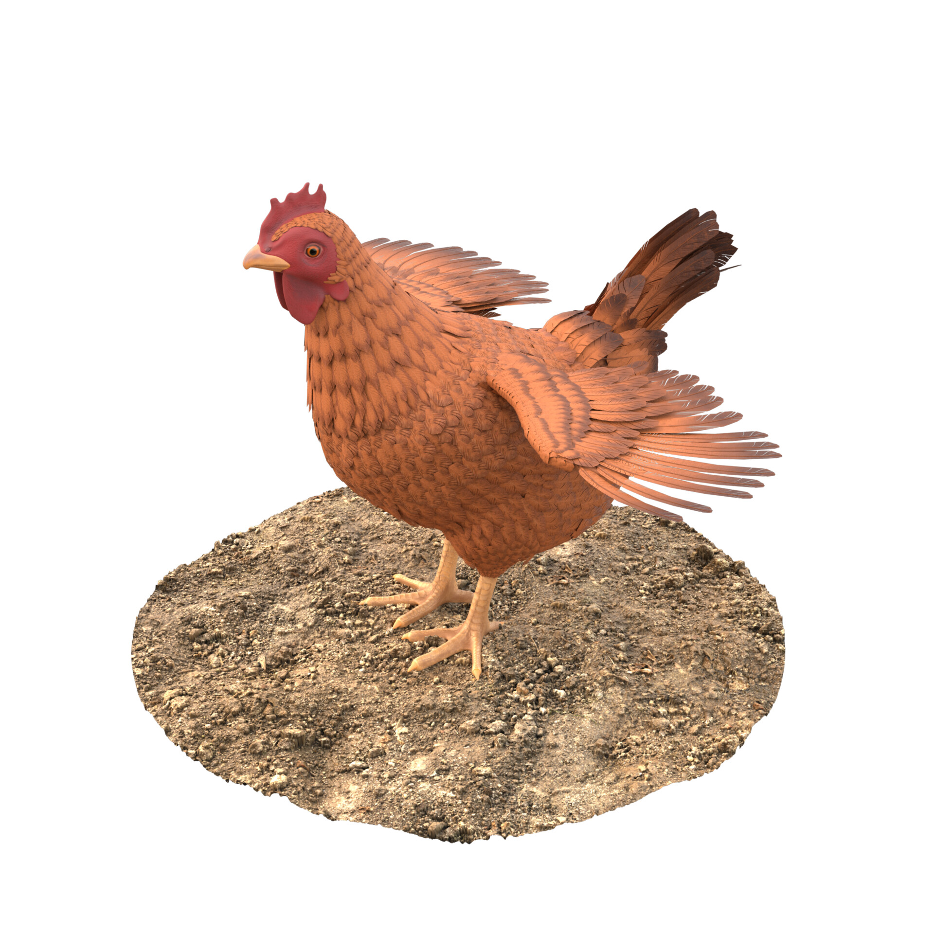 ArtStation - Hen Model