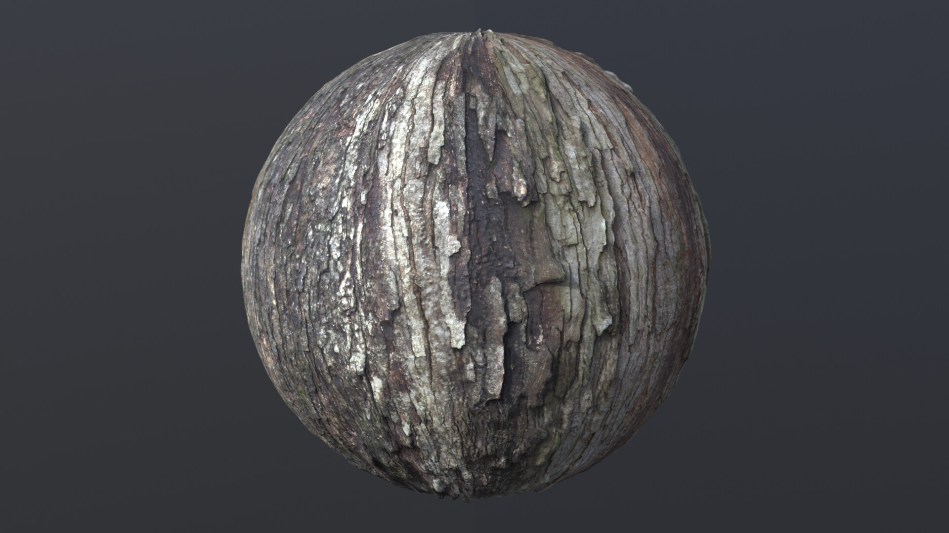 ArtStation - 5 Scanned Tree Bark Surfaces